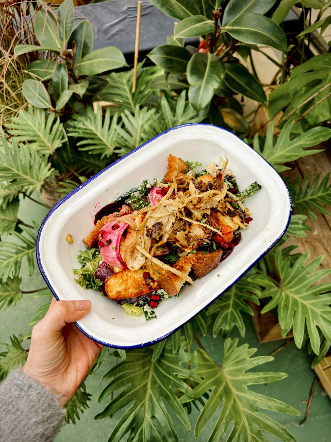 Heel Utrecht groen denken en doen - Steck Utrecht