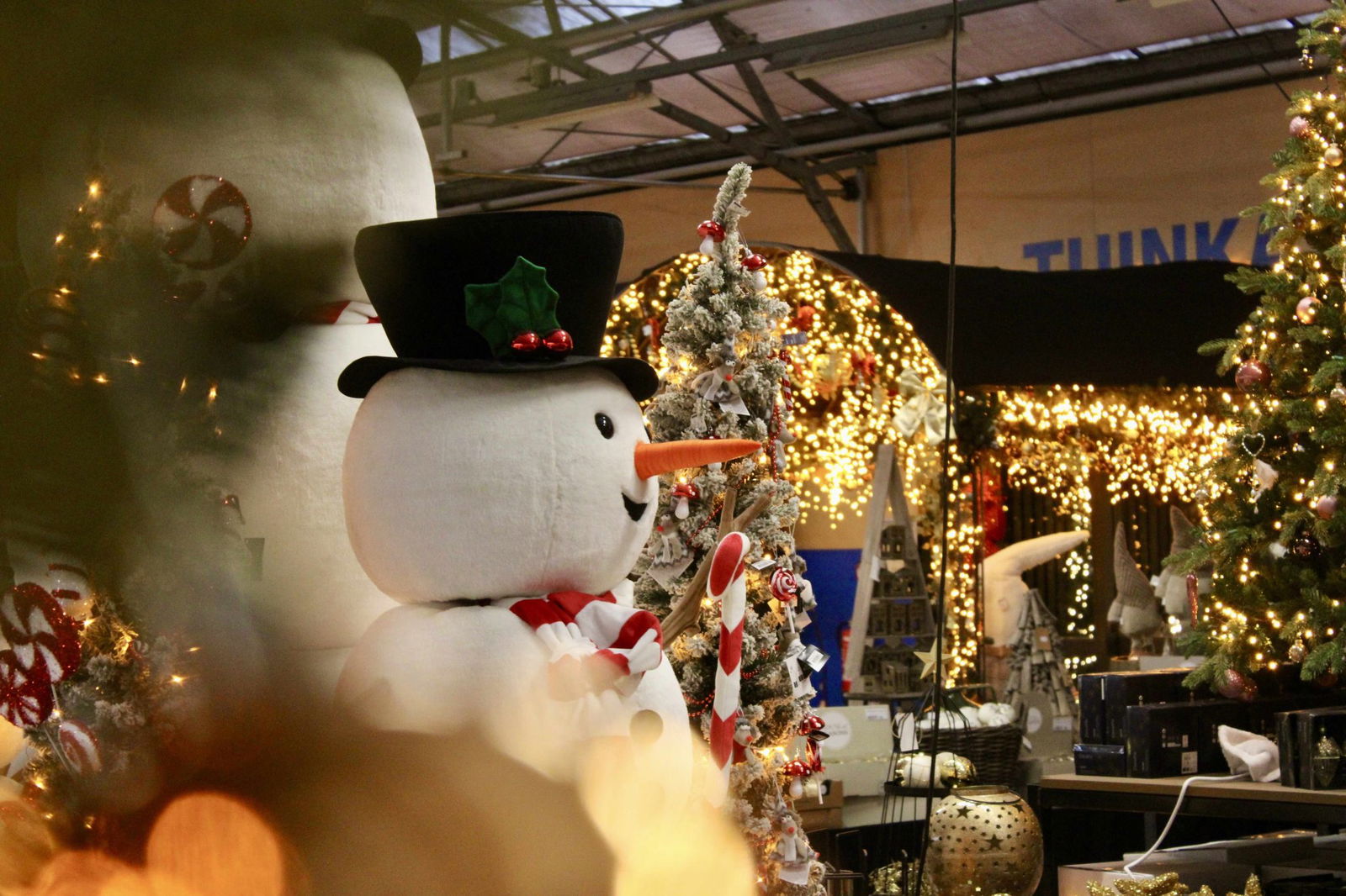 Contact - Steck Utrecht