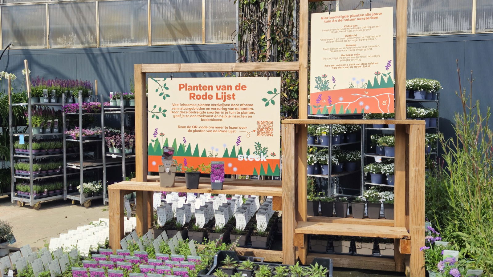 Rode lijst planten - Steck Utrecht