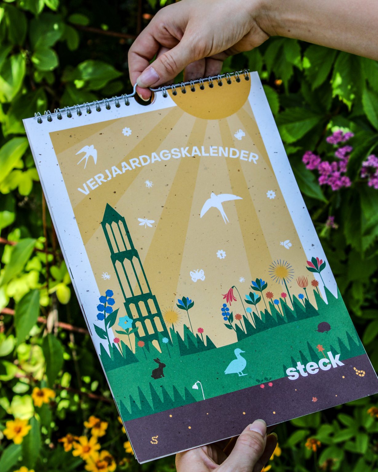 Schaatsbaan - Steck Utrecht